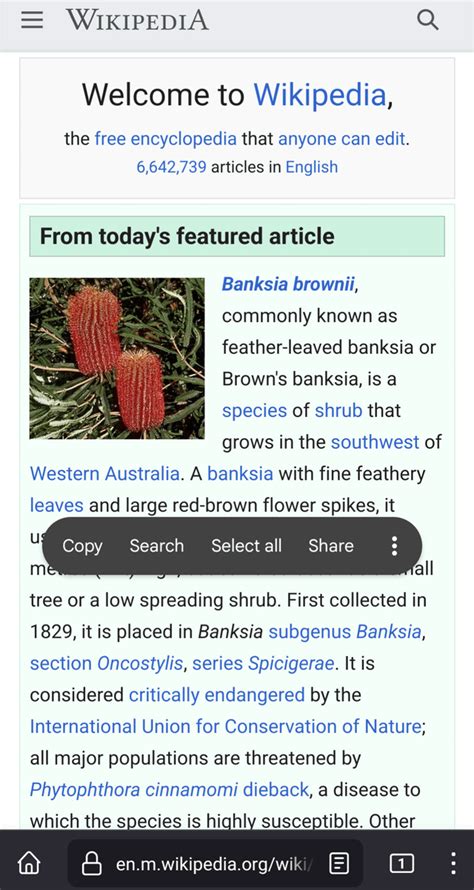 Selection Context Menu Obscures Selection Handles Rfirefox