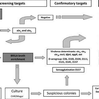 Direct Comparison Of Stx C T Values For Direct QPCR Versus Stx C T Download Scientific Diagram