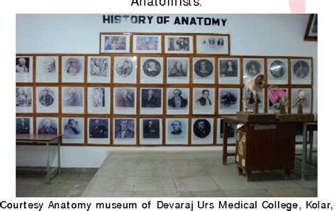 Figure 2 From Designing A Contemporary Anatomy Museum Anatomists Perspective Semantic Scholar