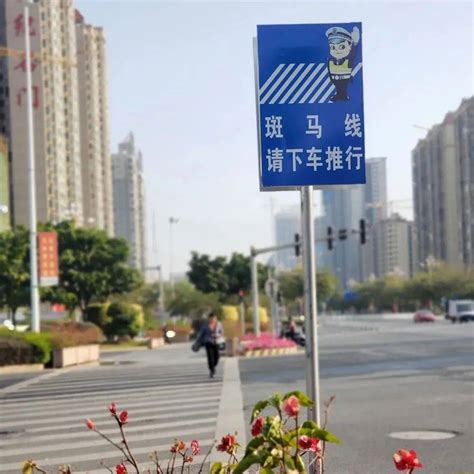 驾驶非机动车横过斑马线时下车推行这是文明交通的体现更是对自己的一种保护 玉林市 行人 市民