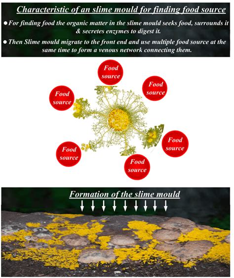 A Brand New Metaheuristic Algorithm Slime Mould Algorithm To Tackle