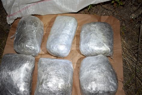 Покрената постапка за двајца стружани кои организирале пренос на дрога