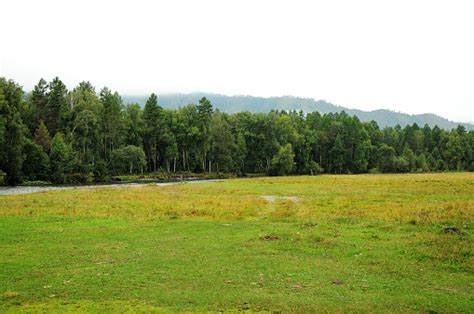 화창한 여름날 울창한 숲을 따라 흐르는 작은 강둑의 광활한 공터 0명에 대한 스톡 사진 및 기타 이미지 0명 강 계곡