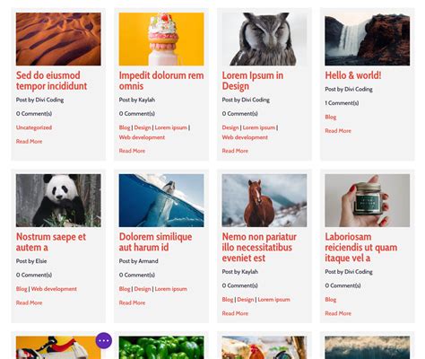 Most Powerful Divi Query Builder Divi Coding Store