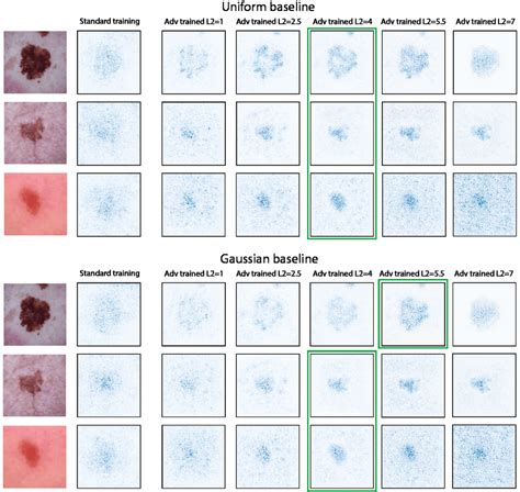 Integrated Gradients Attribution Applied On Several Images The Top Download Scientific Diagram