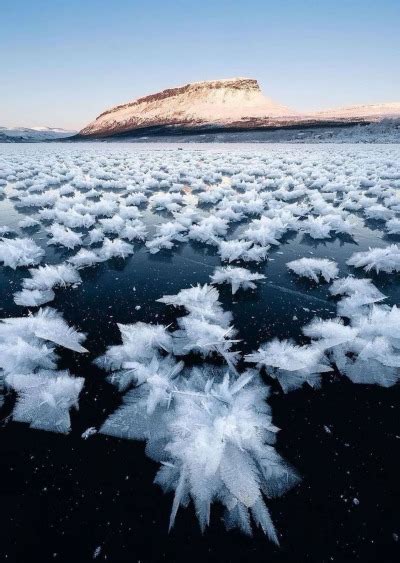 Lake Of Ice Flowers Dansmoe Tumbex