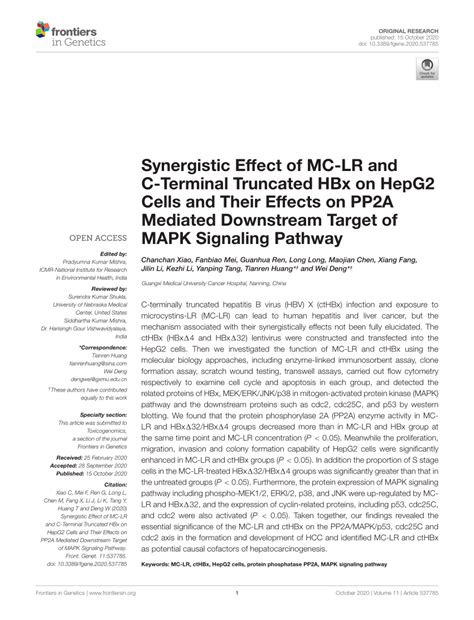 Pdf Synergistic Effect Of Mc Lr And C Terminal Truncated Hbx On Hepg2