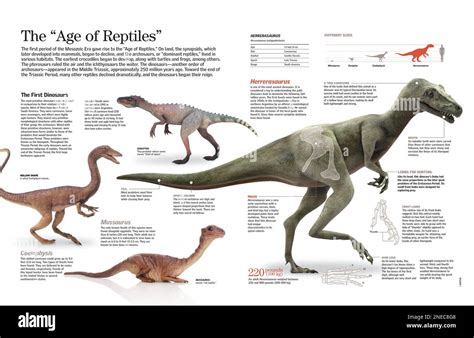 Triassic Period Dinosaurs