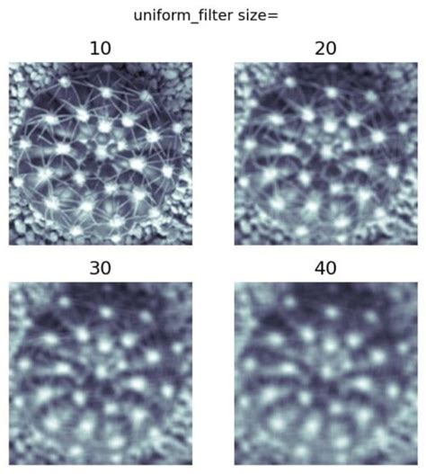 SciPy 平均化フィルタによる画像の平滑化 ndimage uniform filter サボテンパイソン