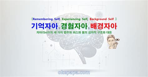 기억자아경험자아배경자아 오케파파okepapa의 세상