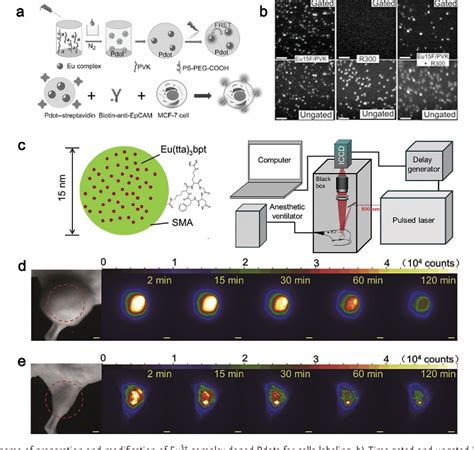 Figure 1 From Recent Progress In Time Resolved Biosensing And