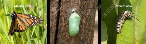 Deep Meme R Dankmemes