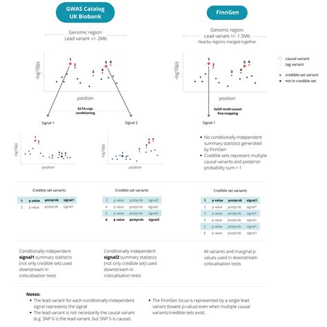 Open Targets Genetics Version 5 Is Out
