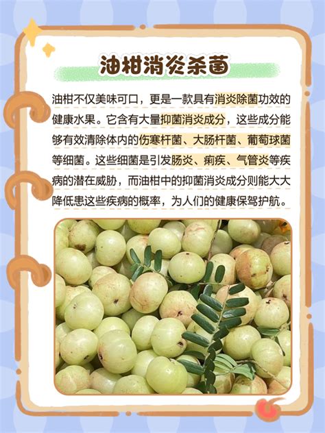 油柑的功效与作用