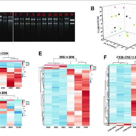 Transcriptome Profiling Analysis For The Rat Retina Across The Download Scientific Diagram