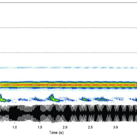 Audiospectrogram Above And Corresponding Oscillogram Below Of The