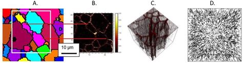 A Ebsd Grain Orientation Map And Corresponding B Tof Sims