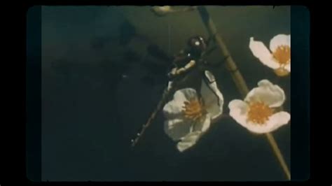 Ron Pope I Pray Ill Be Seeing You Soon Official Visualizer Video