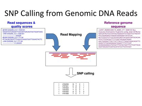 Ppt Bioinformatics Pipelines For Rna Seq Data Analysis Powerpoint