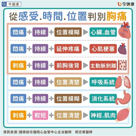 一張圖看懂胸痛主要原因。醫指常見6情況，3警訊即刻就醫！｜四季線上4gtv