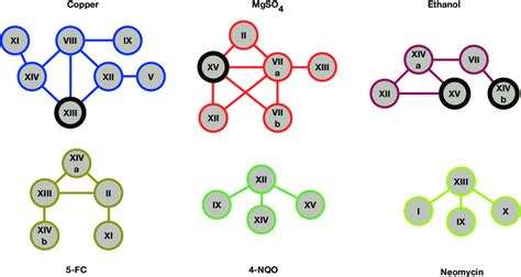 —genetic Networks Identified In Diverse Environments A Examples Of
