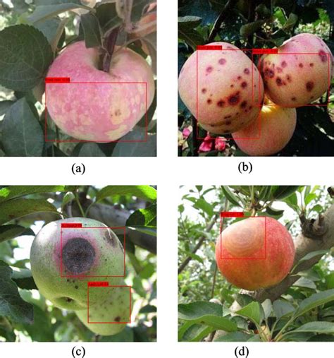Figure 1 From Multiple Diseases And Pests Detection Based On Federated