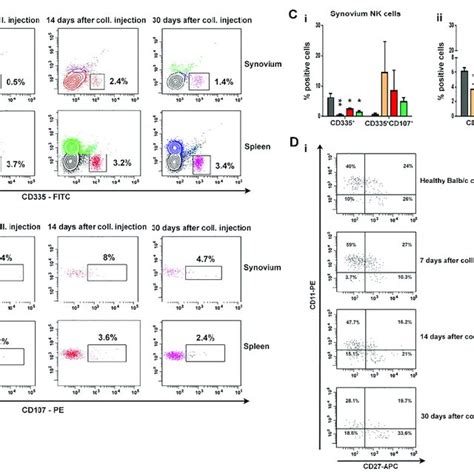 Distribution Of Myeloid Cells In Synovium And Bm During Oa Development Download Scientific