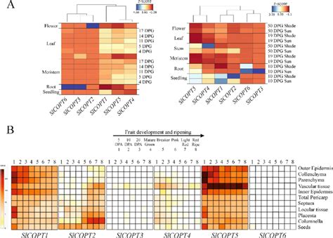 In Silico Gene Expression Analyses A Heatmap Representation And