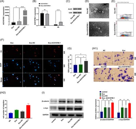 Exosome‐derived Long Non‐coding Rna Ac010789 1 Modified By Fto And