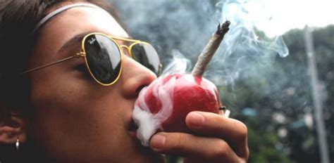 Интересное Webvinegret