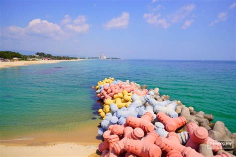 강릉 가볼만한곳 핫플 바다 먹거리 강릉 여행 코스 7곳 네이버 블로그