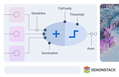 Artificial Neural Network Applications And Algorithms