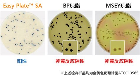 金黄色葡萄球菌测试片原MediCa SA产品中心试剂 富士胶片和光FUJIFILM Wako