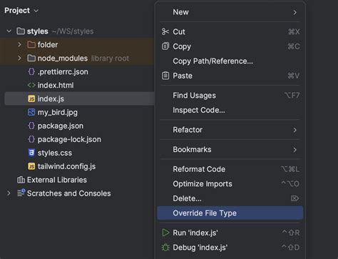 Configuring Project Structure WebStorm Documentation