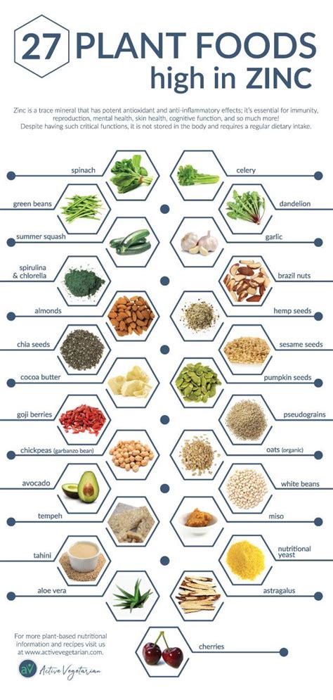27 Plant Based Foods High In Zinc Foods High In Zinc Zinc Foods Plant Food