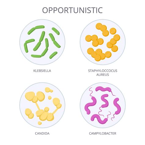 Premium Vector Cartoon Opportunistic Bacteria Biological