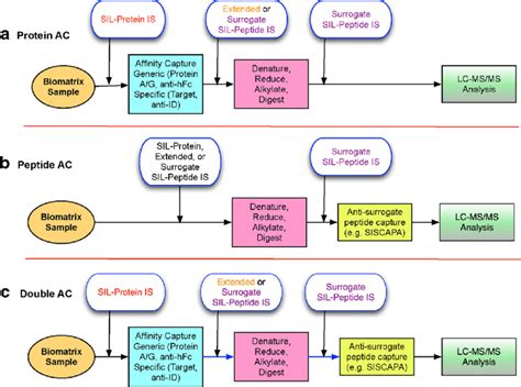 Affinity Capture Lc Msms Workflows With Sil Is Options A Download Scientific Diagram