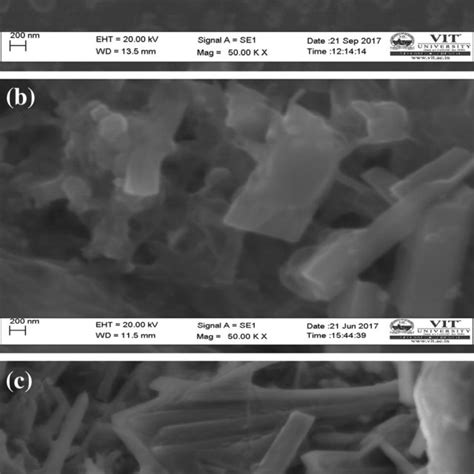 Schematic Representation Of Optimized Selenium Nanoparticles Become Download Scientific Diagram