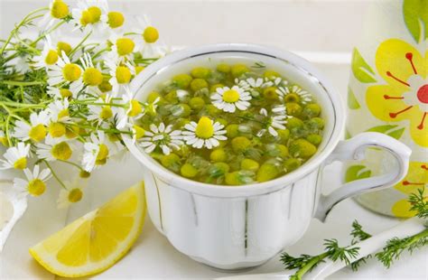 Best Chamomile Herbal Supplements Autumn Damask