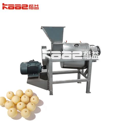Screw Juicer Industrial Fruit Juice Extractor Juice Extracting Machine China Screw Juicer And