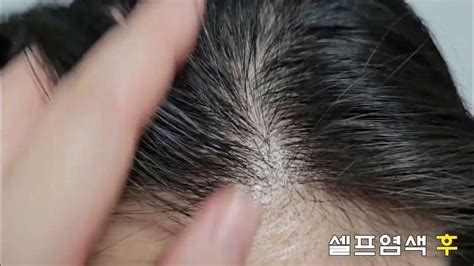 흰머리커버 새치염색 감지 않는 햇빛 셀프염색약 추천 해바 헤어컬러 체인져 Youtube