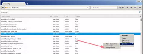 activer les plugins npapi sur firefox