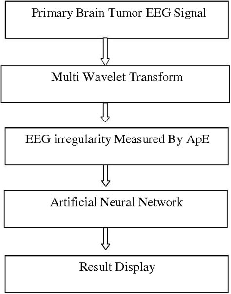 figure 1 from primary tumor detection with eeg signals using wavelet transform and neural