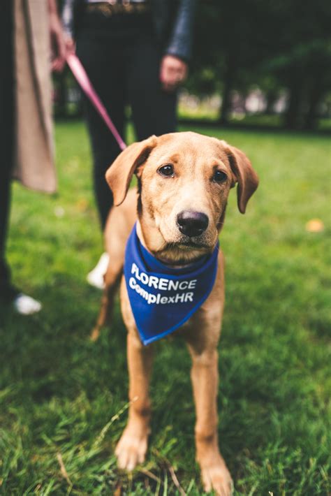 Redundancy And Restructuring Complexhr