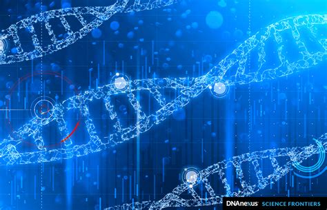 An Exploration Of Machine Learning Based Variant Callers For Snv And Small Indel Using Pacbio
