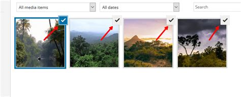 How To Create An Image Gallery In WordPress HostPapa Support