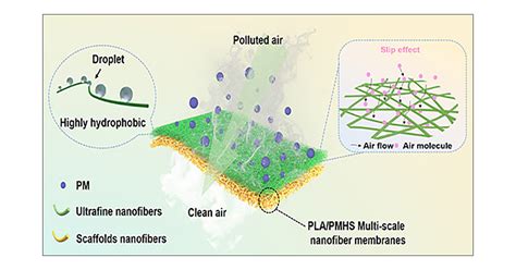 Electrospun Polymethylhydrosiloxanepolylactic Acid Multiscale