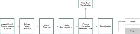 Embryo Evaluation System Structure Download Scientific Diagram