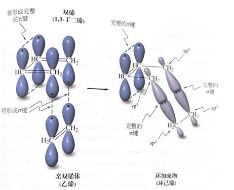 有机化学 004 离域派电子体系（3） 知乎