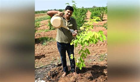 Former Mp Santosh Kumar Plants Saplings On World Environment Day Nominates Leaders For Green
